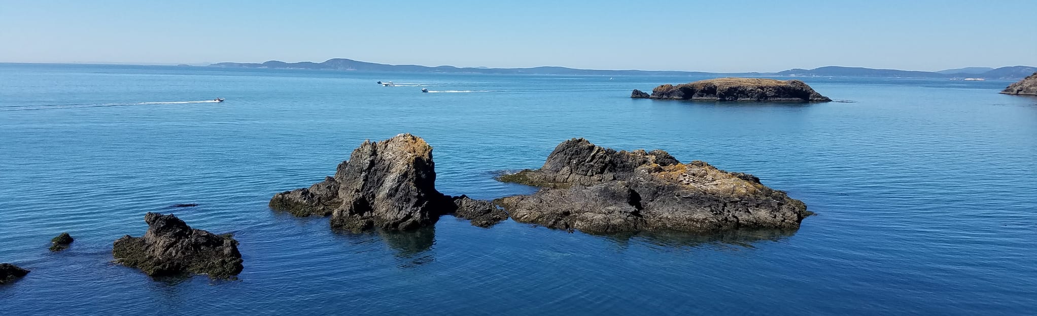 Rosario Head Trail, Washington - 884 Reviews, Map | AllTrails