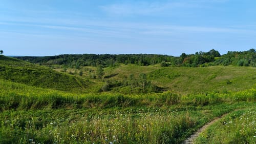 2023 Best Moderate Trails in Durham Regional Forest | AllTrails