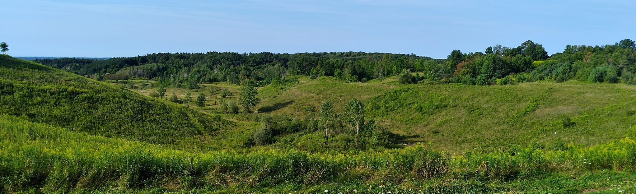 Glen Major Forest Large Loop, Ontario, Canada - 368 Reviews, Map ...