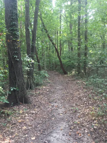 Best Hikes and Trails in Holly Ridge Conservation Area | AllTrails
