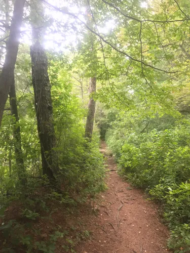 Best Hikes And Trails In Four Ponds Conservation Area Alltrails