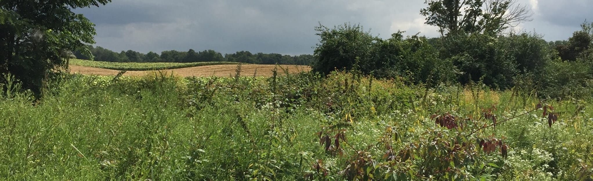 AllTrails | Caledon Trailway: Heart Lake - Caledon East: 87 Reviews ... AllTrails | Caledon Trailway: Heart Lake - Caledon East: 87 Reviews ...