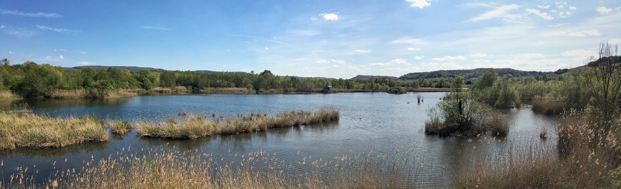 Through the nature reserve Haff Réimech: 217 foto's - Remich, Luxemburg ...