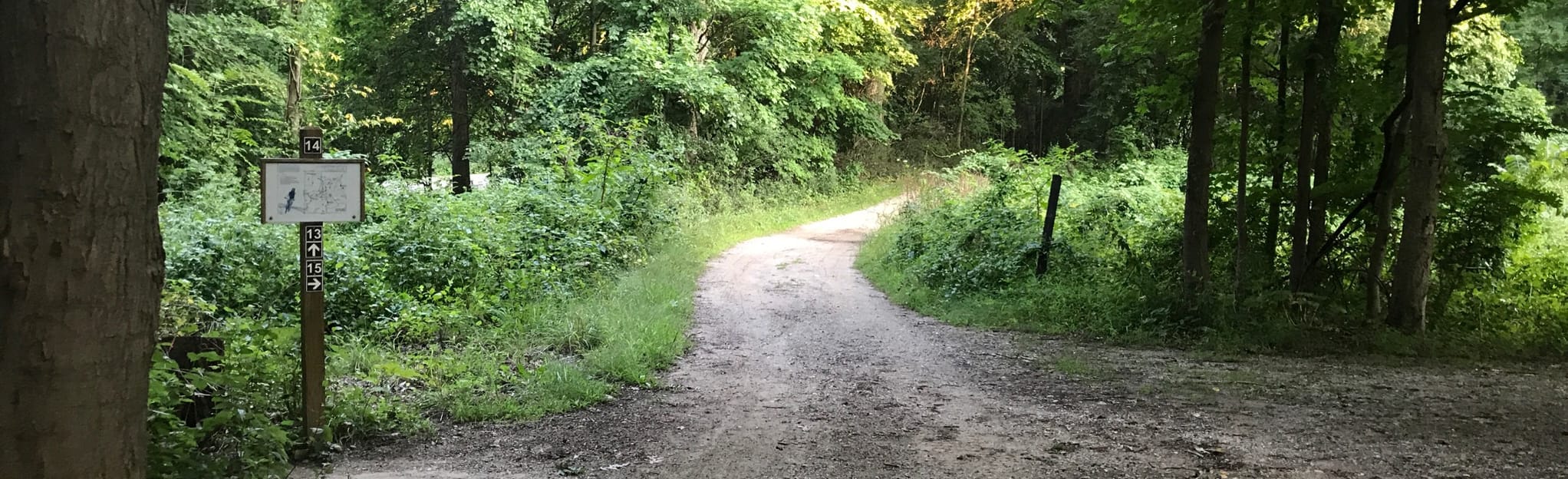 West Branch Loop, Michigan - 91 Reviews, Map | AllTrails