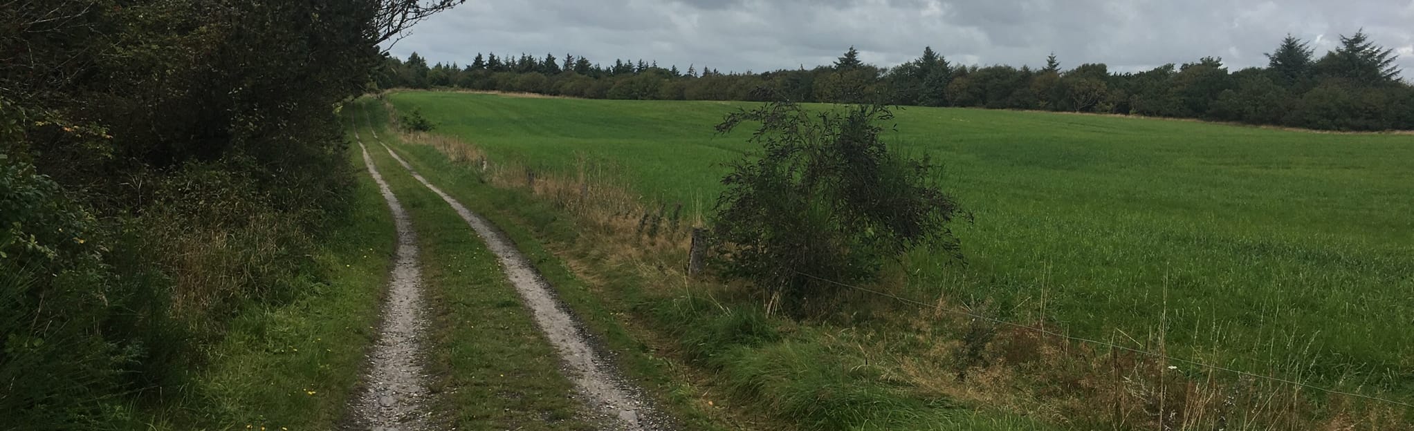 Marbæk Plantage - Ho Bugt - Myrtue: 27 Fotos - Region Syddanmark ...