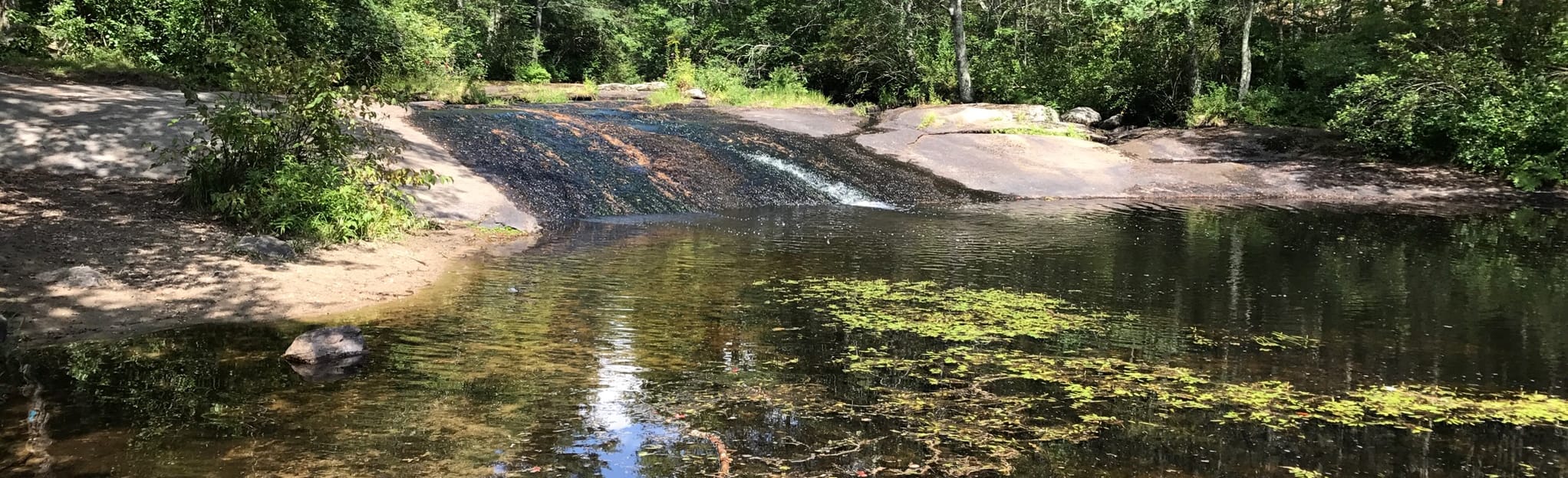 Carbuncle Pond and Moosup River Trail, Rhode Island - 253 Reviews, Map ...