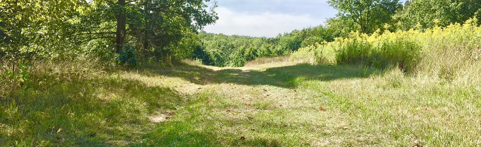 Cascade Peace Park Trail, Michigan - 1,412 Reviews, Map | AllTrails