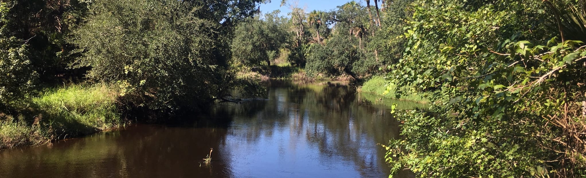 Little Big River Loop: 75 Reviews, Map - Florida | AllTrails