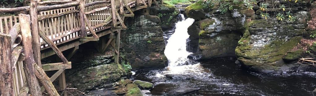 Are Dogs Allowed At Bushkill Falls