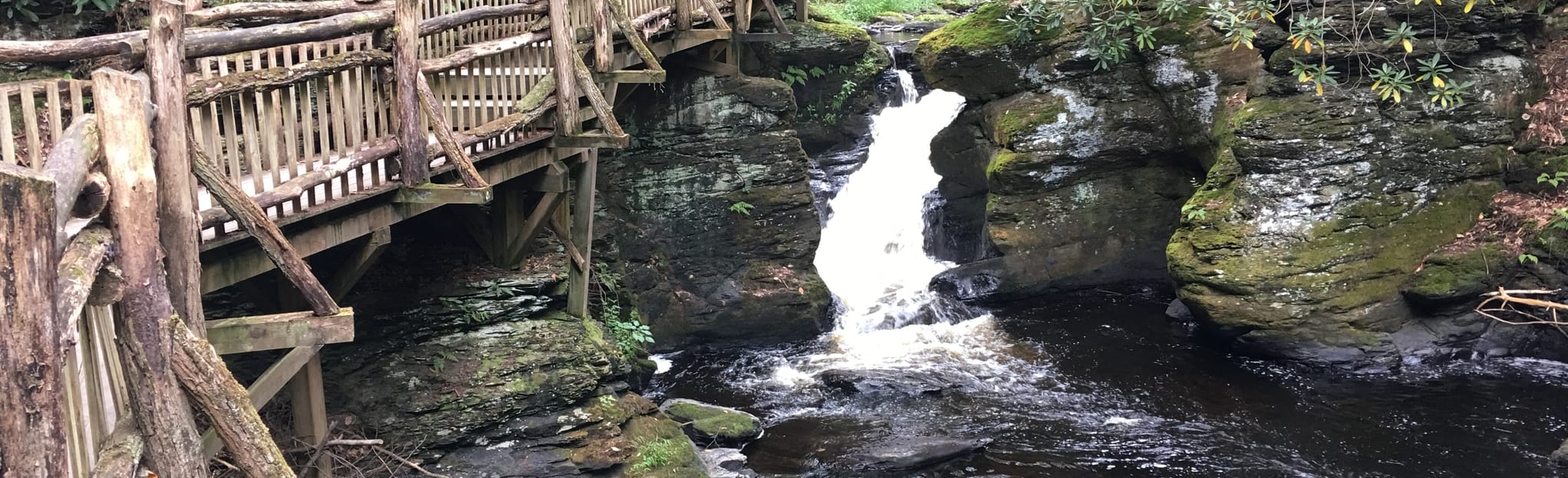 Bushkill Falls Red and Blue Trail: 1,091 Reviews, Map - Pennsylvania ...