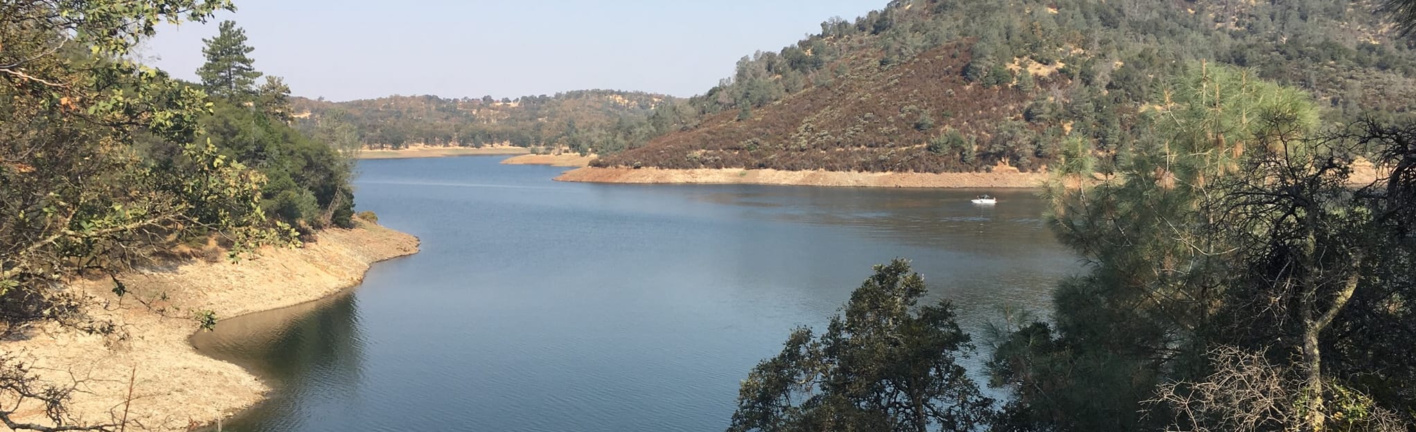 Browns Ravine South Shore Trail, California - 349 Reviews, Map | AllTrails