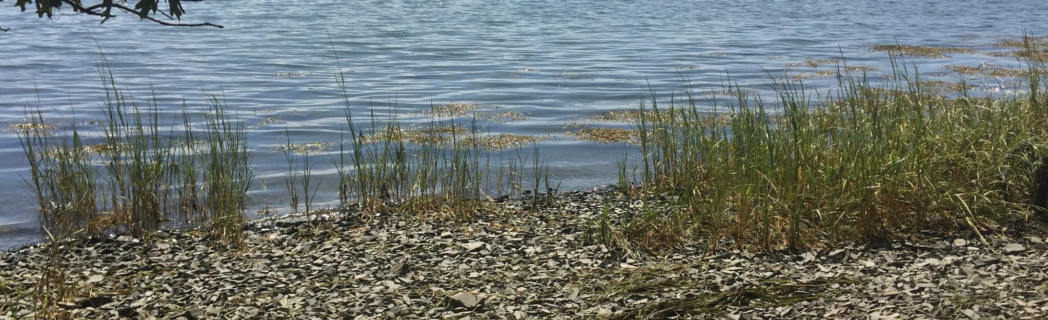 Adams Point Loop, New Hampshire - 380 Reviews, Map | AllTrails