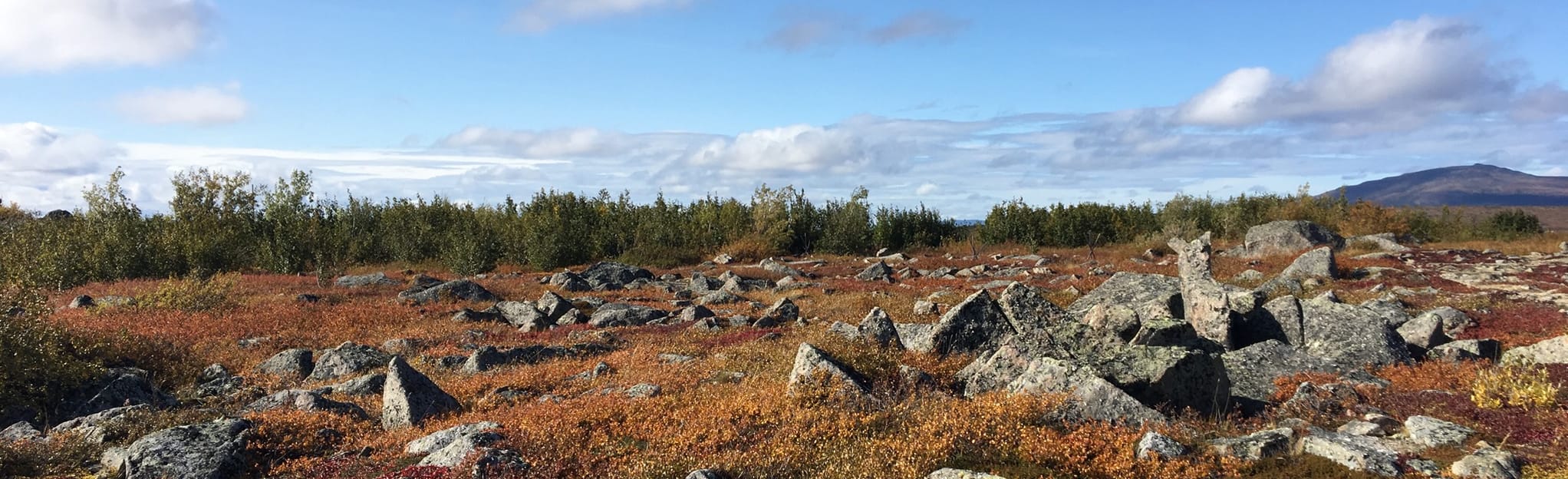 Finger Mountain Lookout, Alaska - 8 Reviews, Map | AllTrails