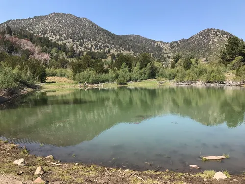 Best Hikes and Trails in Galena Creek Regional Park | AllTrails