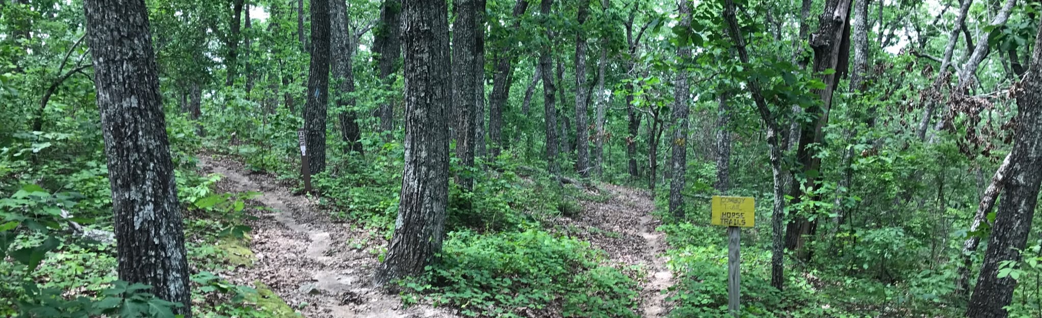Big Poplar Loop via Pine Mountain and Sawtooth Trails, Georgia - 222 ...