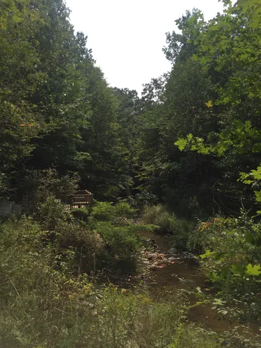 Best Hikes and Trails in Pine River Nature Center | AllTrails