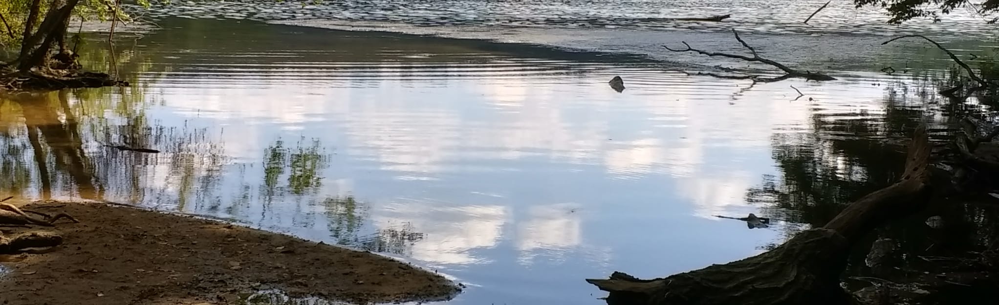 Pot Spring Road Fire Trail to Loch Raven Reservoir: 408 Reviews, Map ...