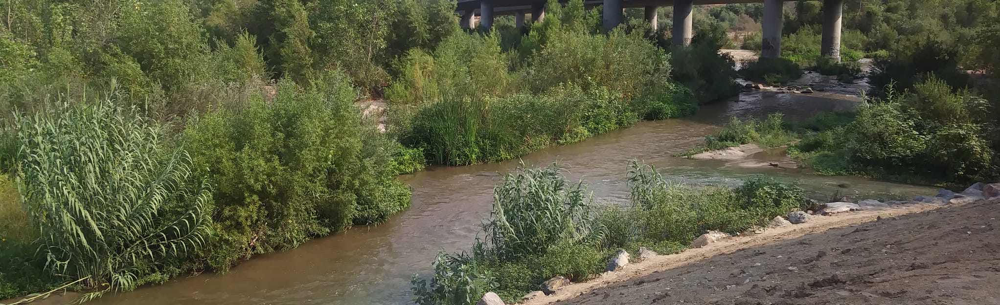 Santa Ana River Trail, California - 146 Reviews, Map | AllTrails