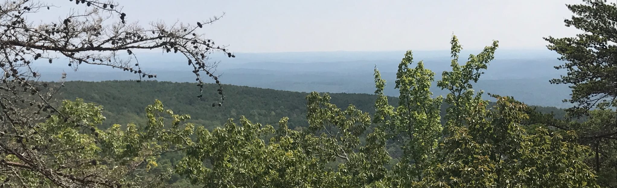 Cheaha Cave Creek Trail: 143 Reviews, Map - Alabama | AllTrails