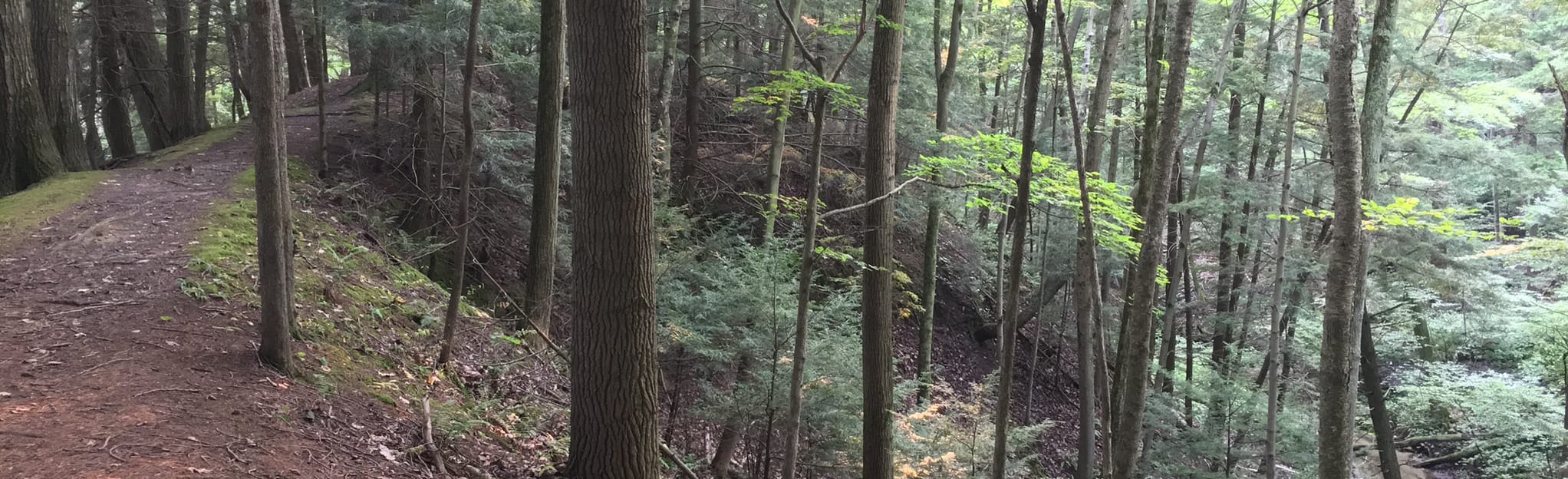 One for the Vine Loop: 67 Reviews, Map - Ontario, Canada | AllTrails