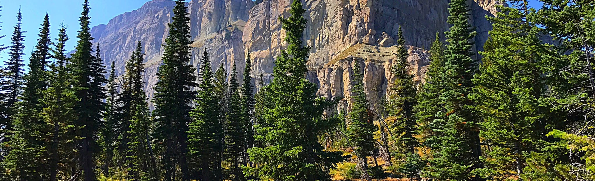 Chinese Wall Trail: 50 Reviews, Map - Montana | AllTrails