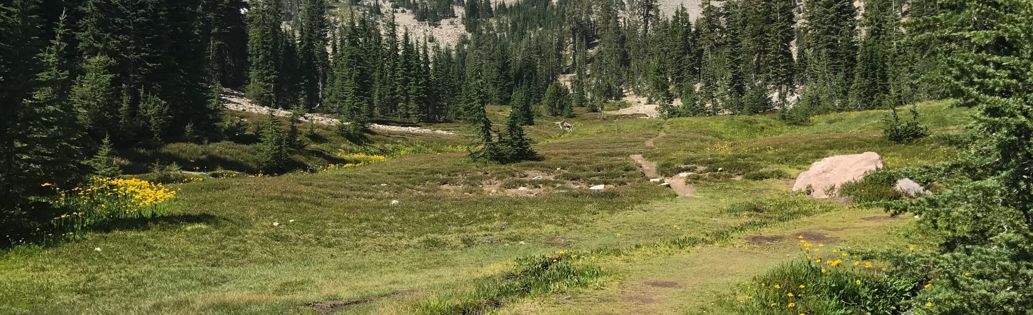 South Gate Trail via Gray Butte and The Gate Trail: 158 Reviews, Map ...