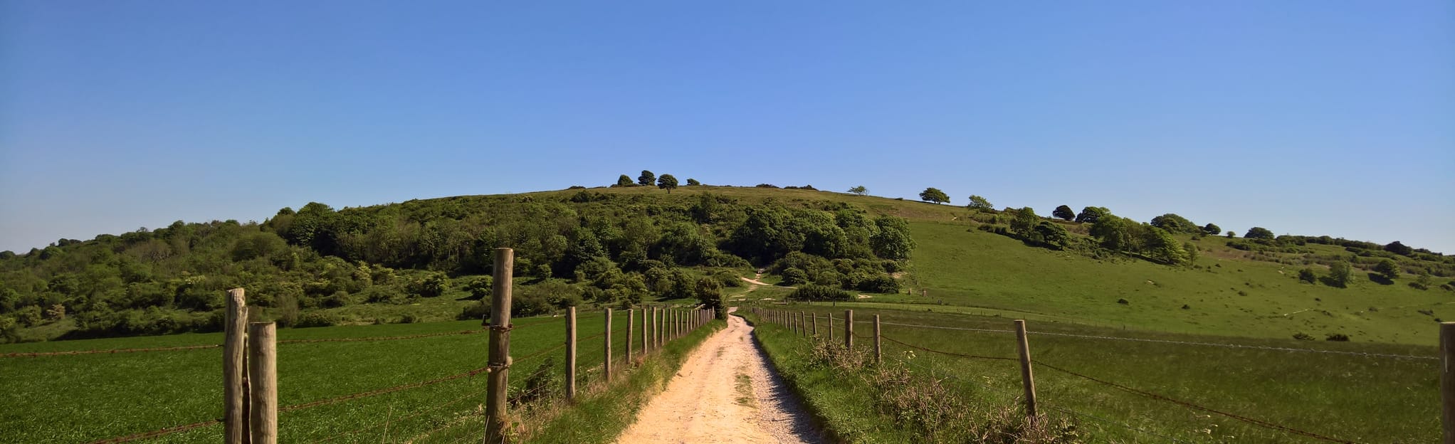 Washington, Cissbury Ring and Chanctonbury Ring from, West Sussex ...