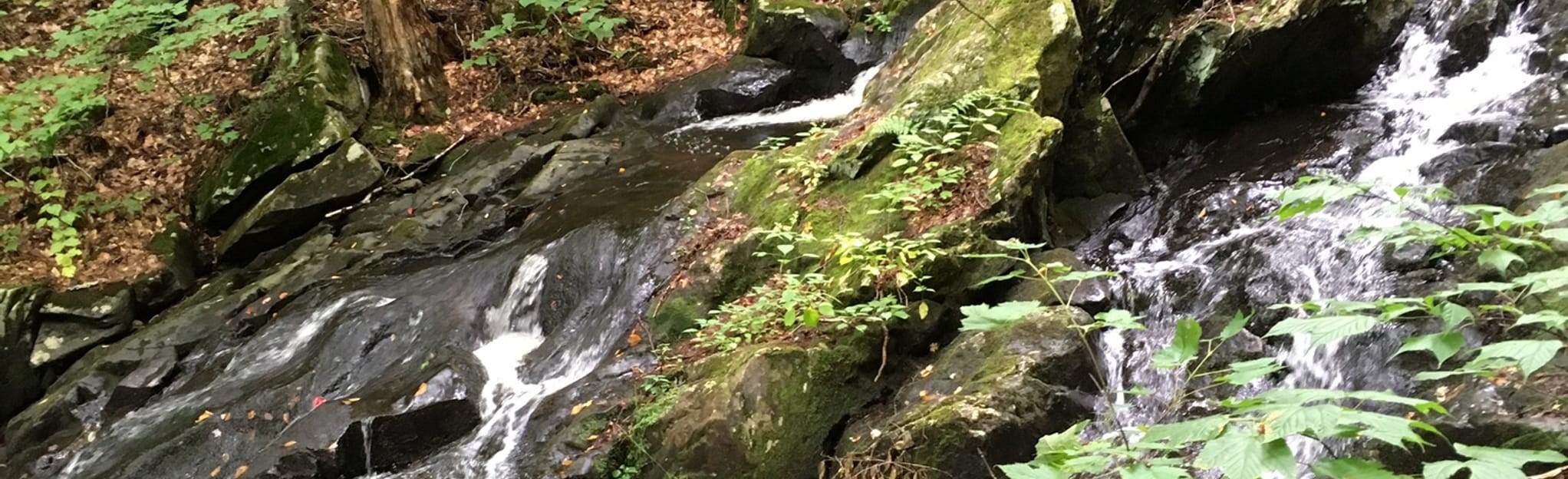 Hawley Pass, Basin Brook, and Kings Corner Trail Loop, Massachusetts ...