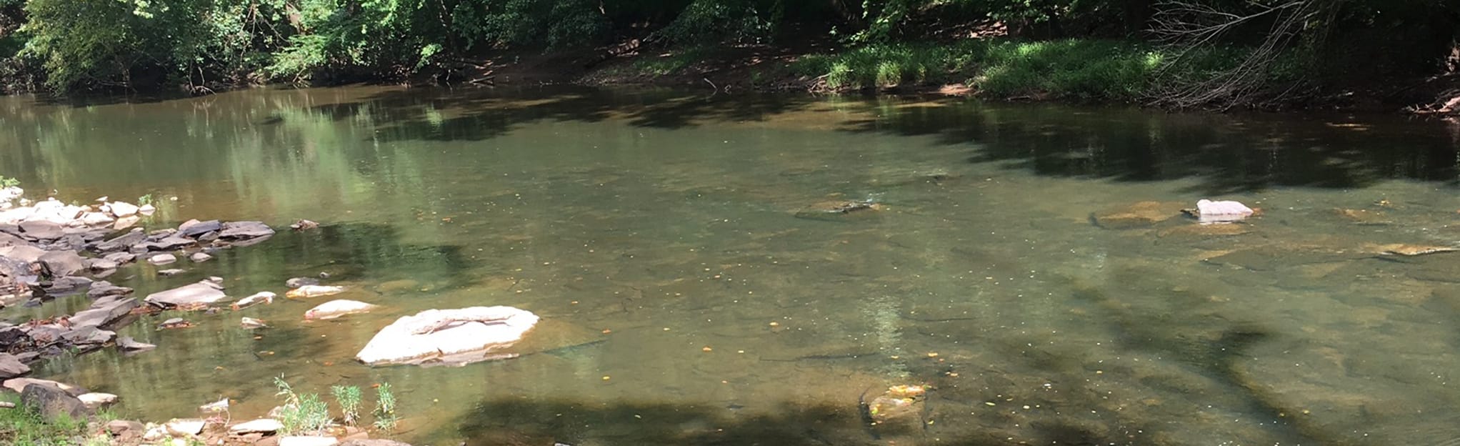 Yellow Trail to Bull Run Trail: 270 Reviews, Map - Virginia | AllTrails