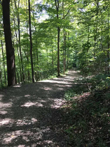 10 Best Hikes and Trails in North Chagrin Reservation | AllTrails
