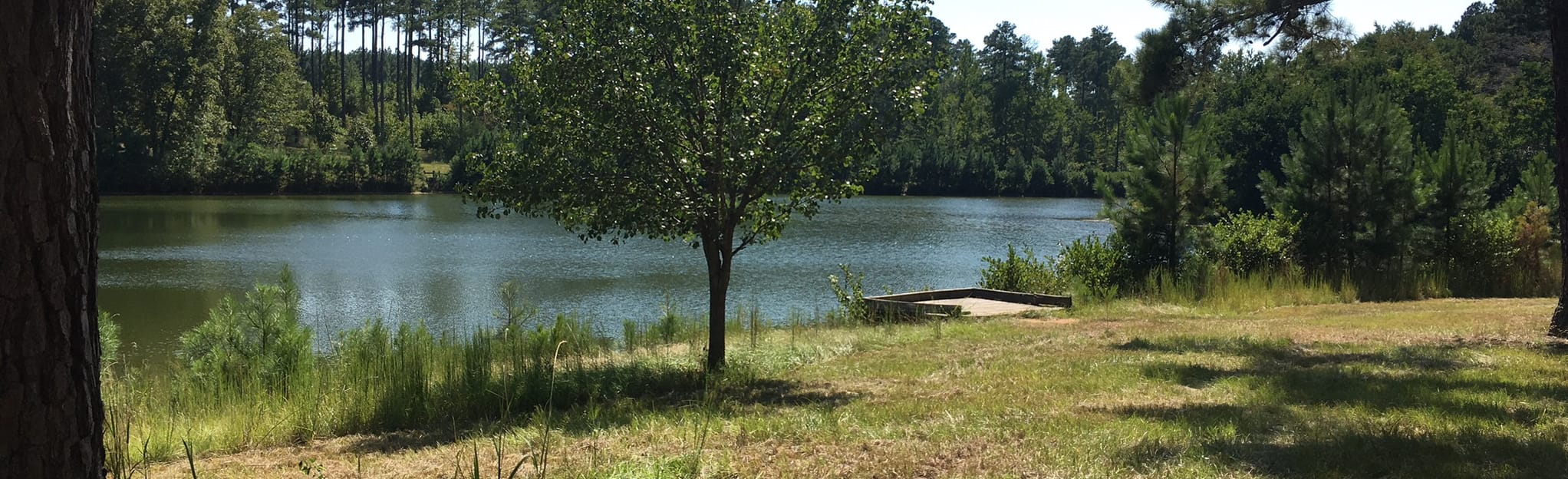 Bartram Trail: 151 Reviews, Map - Georgia | AllTrails