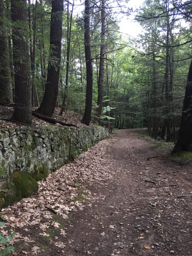 Best Hikes and Trails in West Springfield | AllTrails