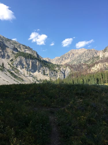 2023 Best Camping Trails in Bridger-Teton National Forest - Jackson ...