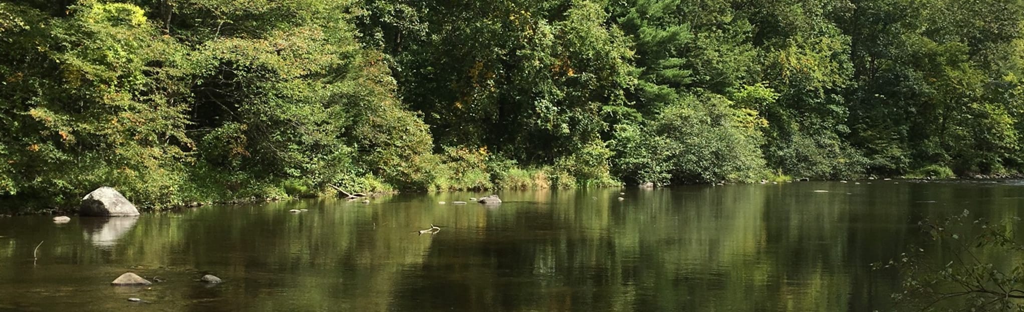 Hidden Valley Preserve Green Square Loop: 95 Reviews, Map - Connecticut ...