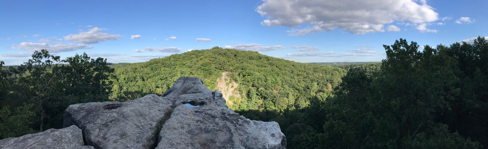 White Trail Loop, Maryland - 1,283 Reviews, Map | AllTrails