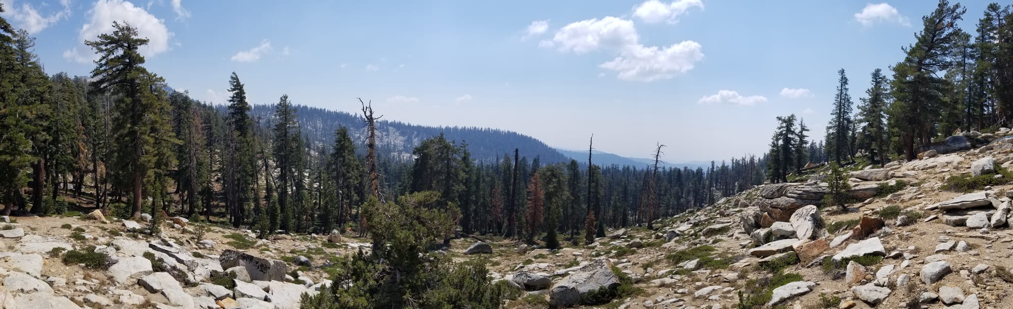 Swamp Lake OHV Trail: 16 Reviews, Map - California | AllTrails