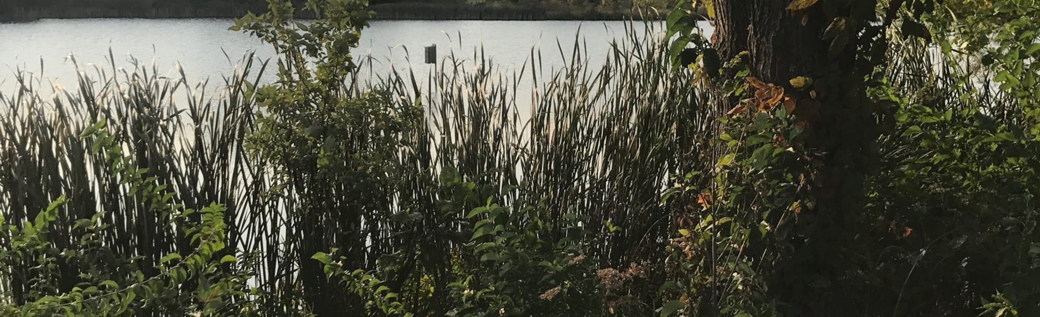 Carney Marsh Trail, Iowa - 100 Reviews, Map | AllTrails