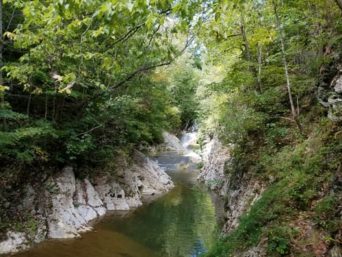 Best Trails in Natural Bridge State Park | AllTrails