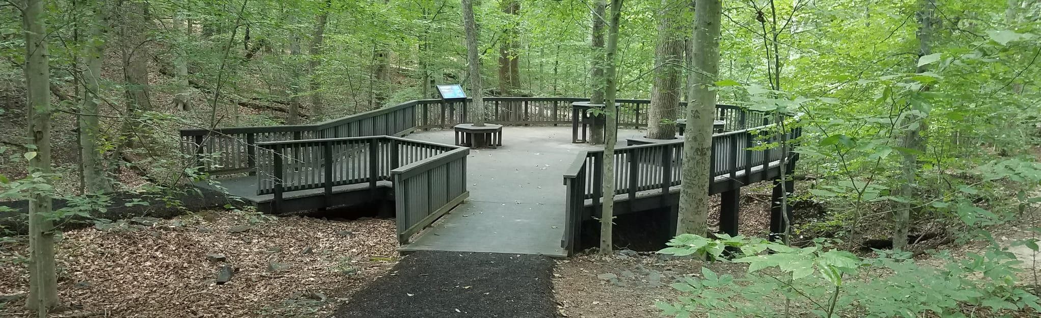 Piedmont Forest Loop, Virginia - 82 Reviews, Map | AllTrails