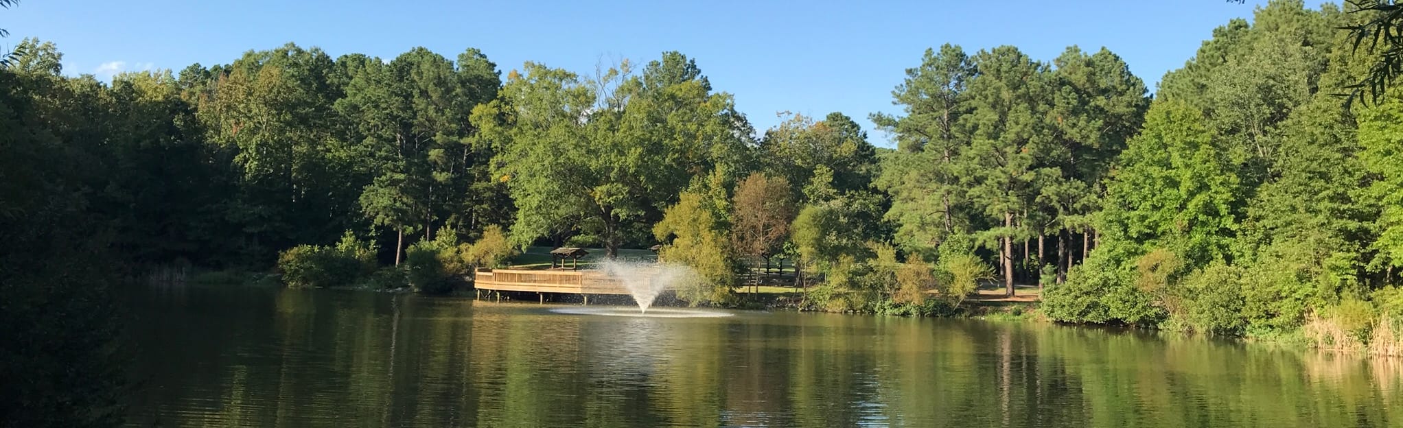 Deep Run Park Trails, Virginia - 1,041 Reviews, Map | AllTrails