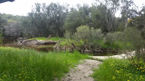 Best Hikes and Trails in Northam | AllTrails