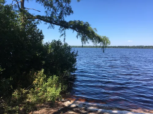 Best Hikes and Trails in Jones Lake State Park | AllTrails