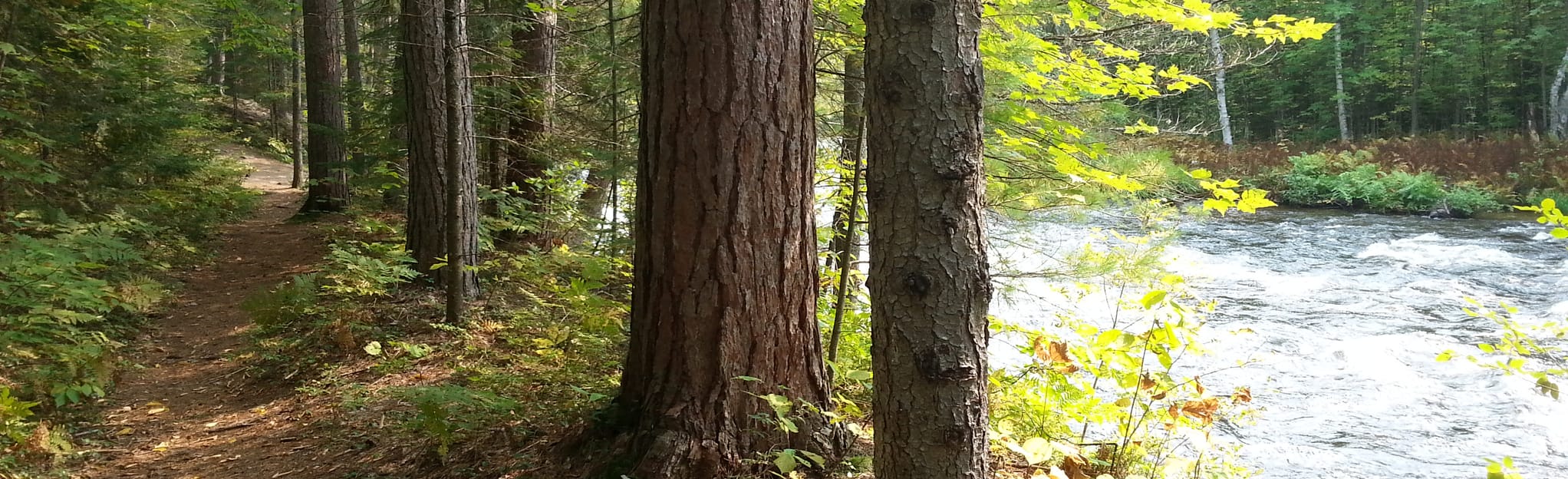 Eau Claire Gorge White Trail Loop, Ontario, Canada - 235 Reviews, Map ...