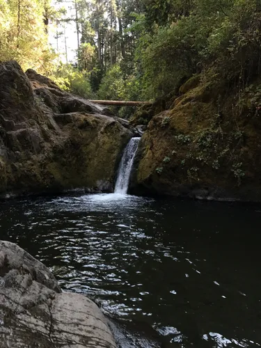 2023 Best Forest Trails in Eagle Point | AllTrails