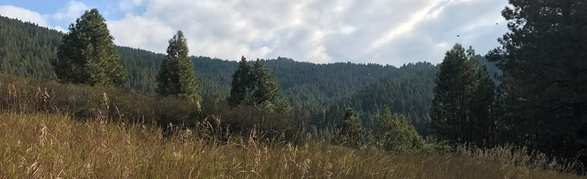 Idler's Rest Nature Preserve, Idaho - 224 Reviews, Map | AllTrails