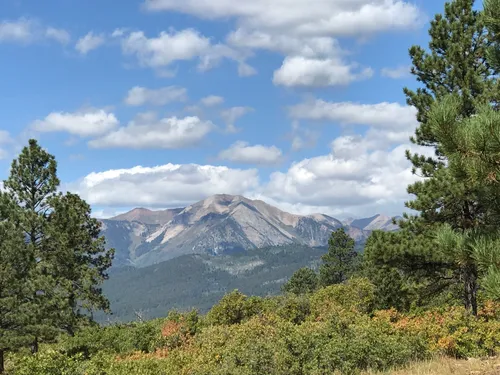 10 Best Trails and Hikes in Durango | AllTrails