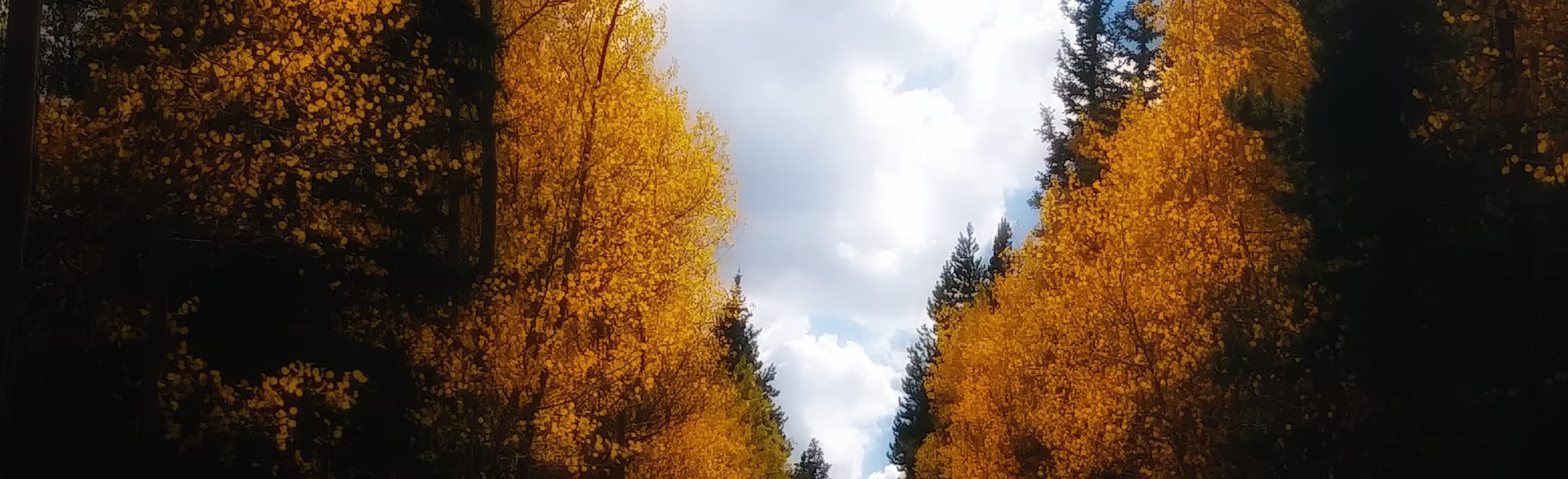 Ganley Mountain Via Guanella Pass Scenic Byway - Colorado | AllTrails