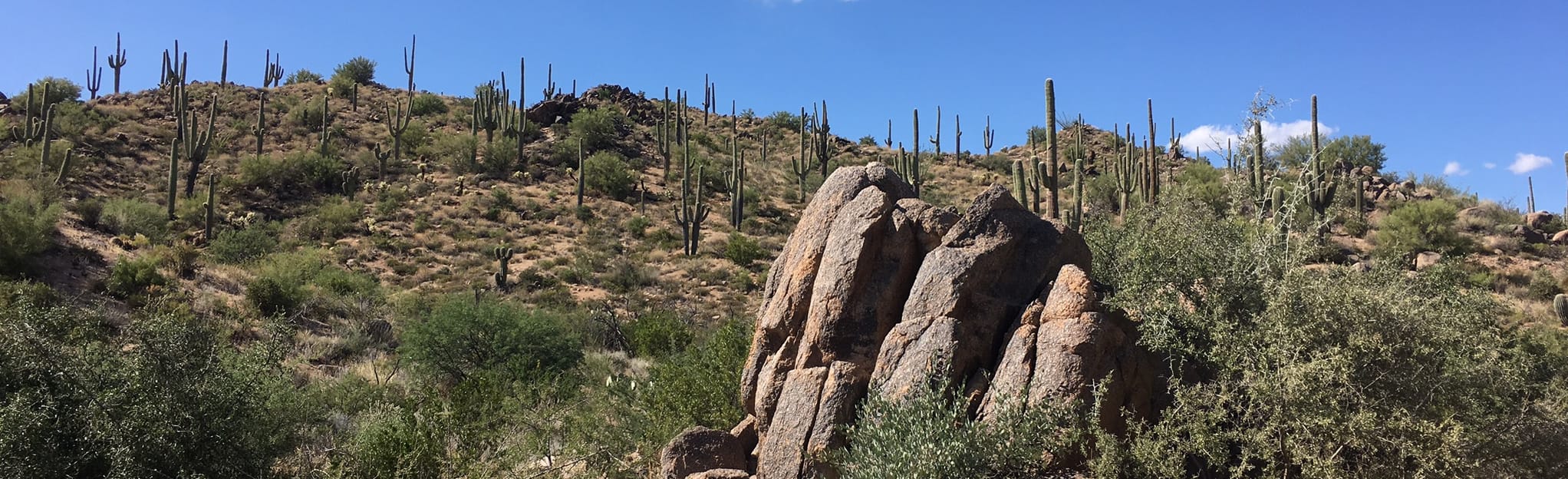 Four Peaks OHV Road #143 to Route 188, Arizona - 686 Reviews, Map ...