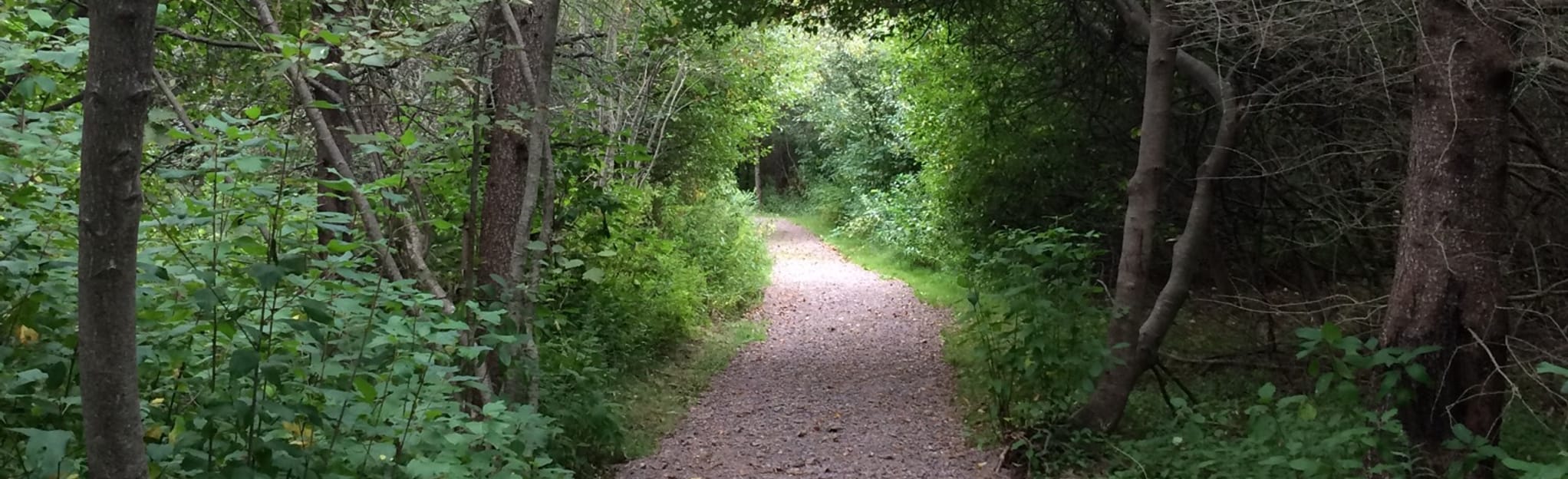 Amherst Point Migratory Bird Sanctuary: 35 Reviews, Map - Nova Scotia ...