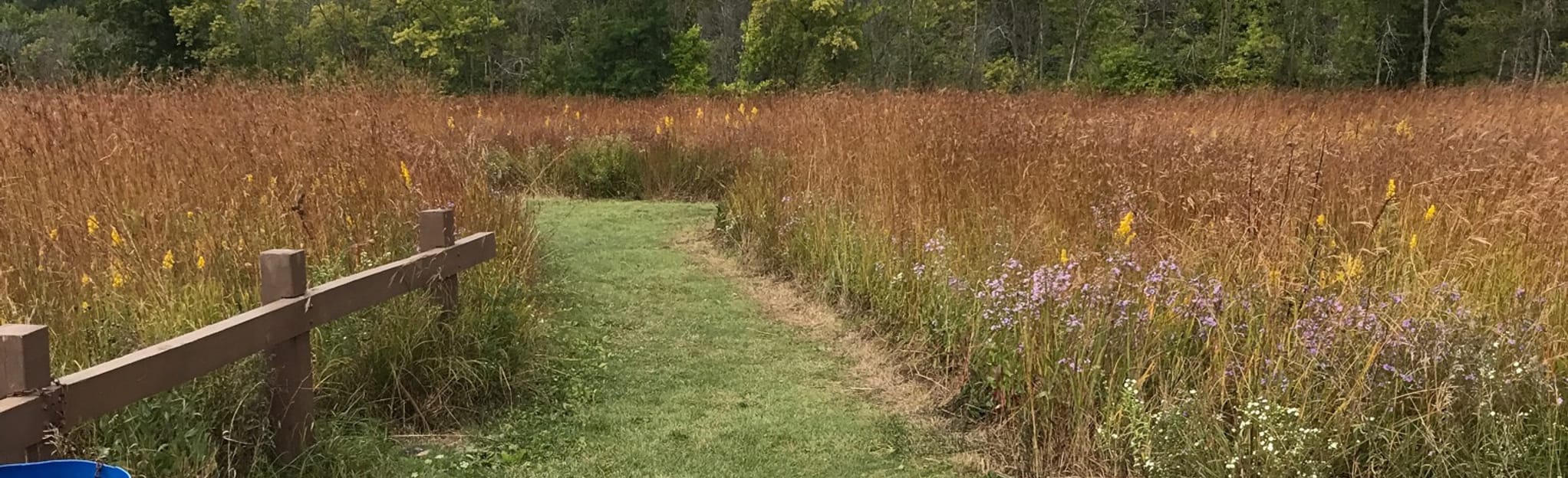 Retzer Nature Center Trails, Wisconsin - 417 Reviews, Map | AllTrails